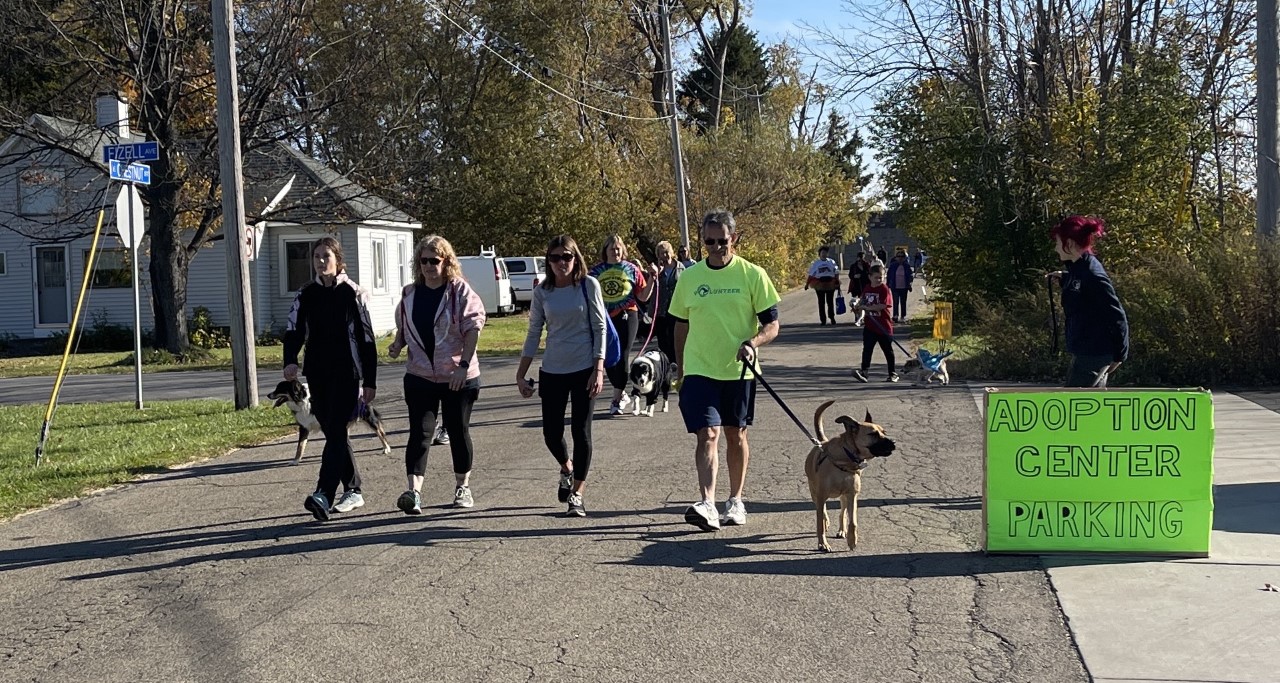 On a short leash: Annual dog walk benefits the humane society | News ...